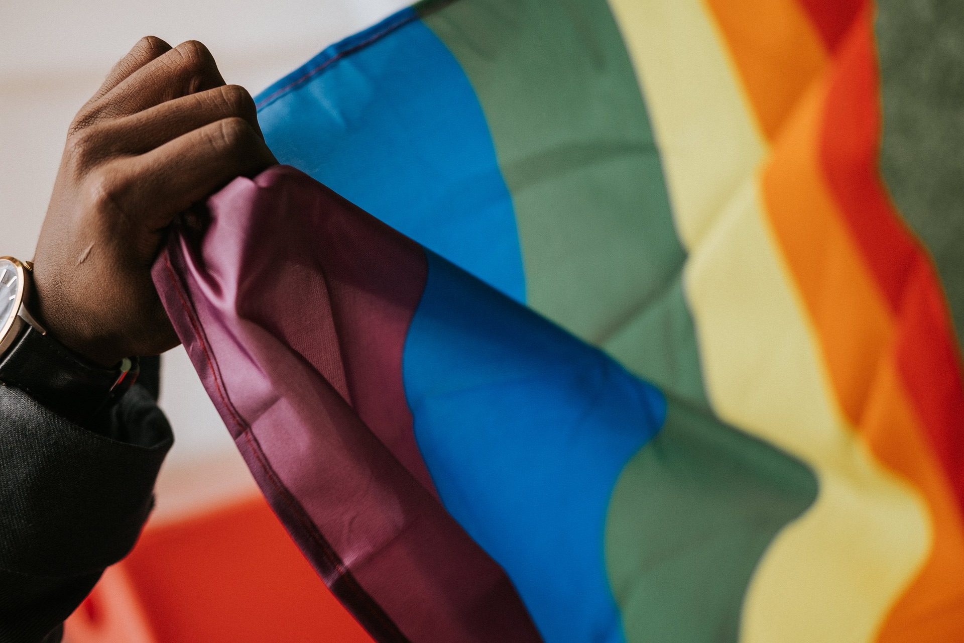 Des Fiertés colorées | Bibliothèque universitaire